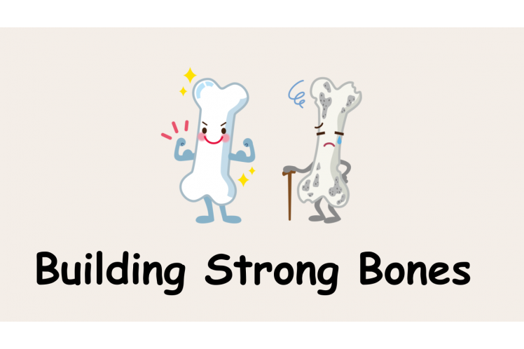 Building Strong Bones: Nutrition, Exercises, and Lifestyle Habits